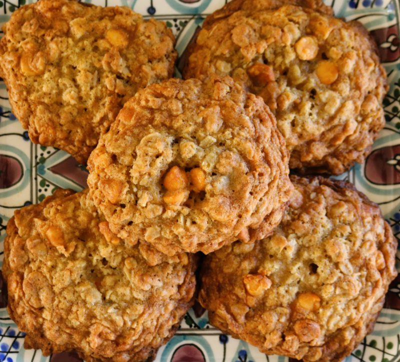 Chocolate Pecan Bars - Moonview Kitchen